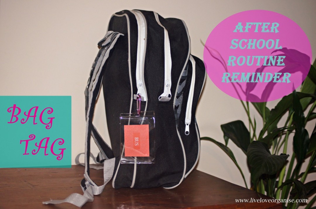 Routine Bag Tag | Live Love Organise